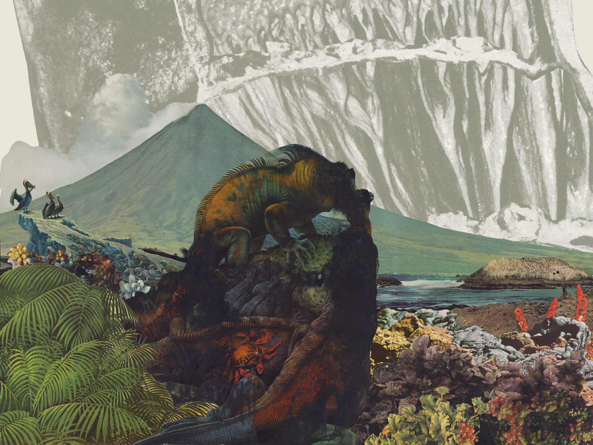 Exotic Immensity • Gonçalo F. Cardoso & Evan Crankshaw — Les Ateliers ...