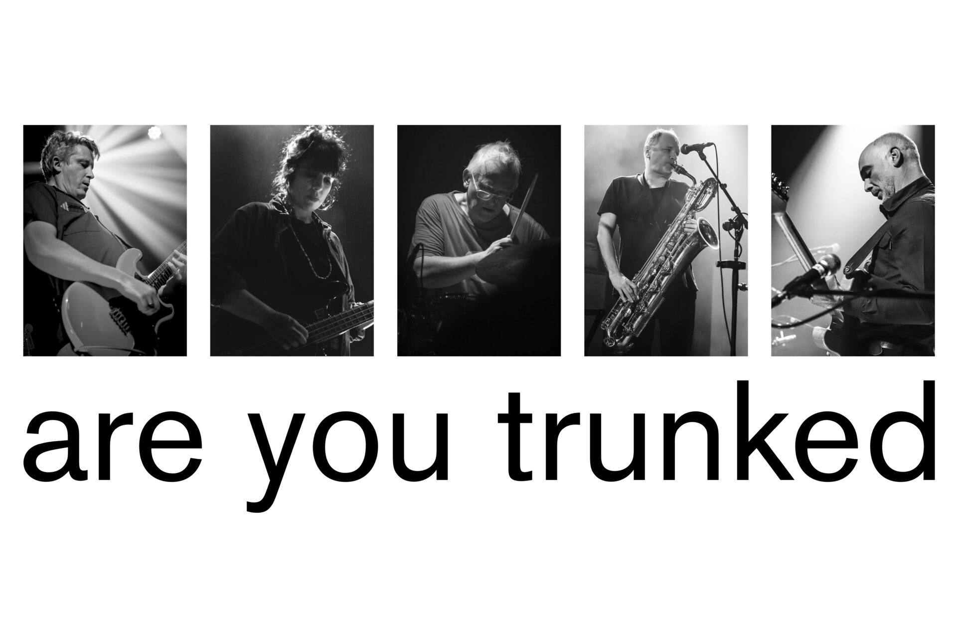 Are You Trunked — Les Ateliers du Vent